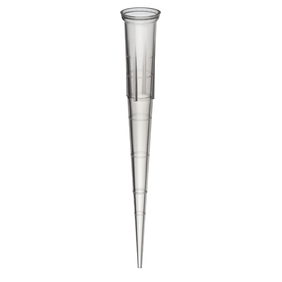 Graduated Pipet